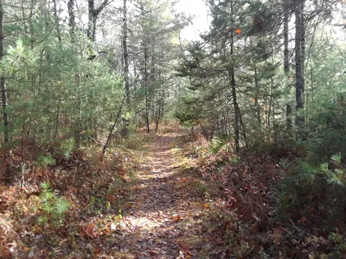 10 Best Trails and Hikes in Kejimkujik National Park | AllTrails