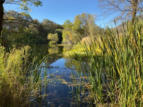 10 Best Trails and Hikes in Forest Falls | AllTrails