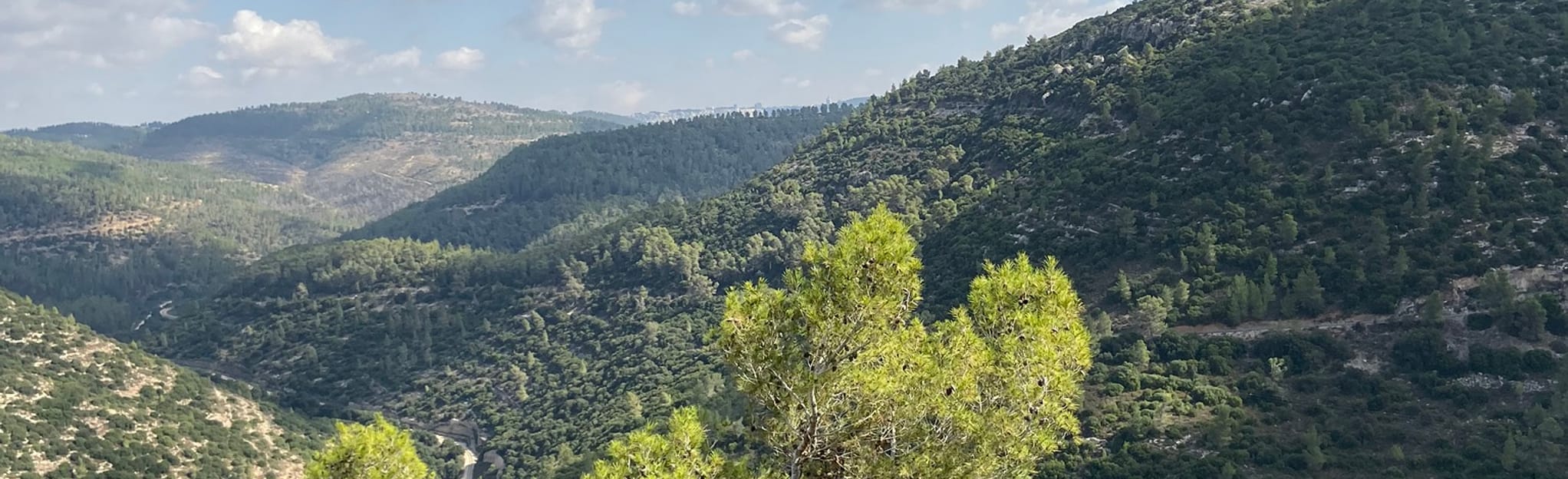 Sorek River Southern Scenic Route: 8 Reviews, Map - Jerusalem, Israel ...