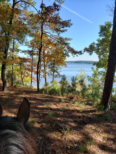 Best Hikes and Trails in Brahan Spring Park | AllTrails