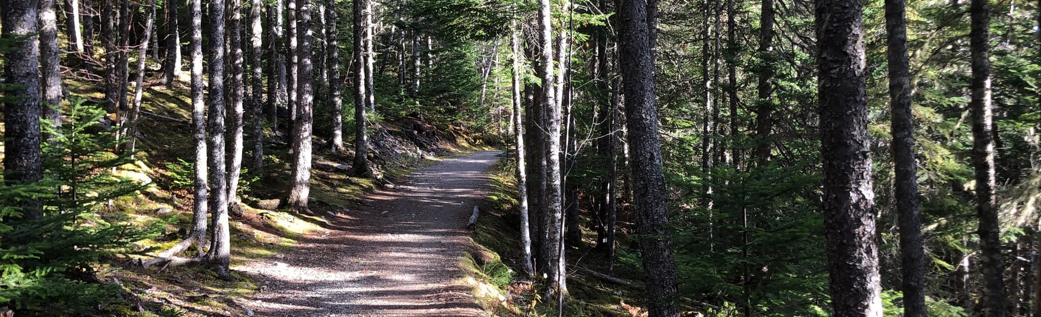 Edward Blackmore Trail, Newfoundland and Labrador, Canada - 53 Reviews ...