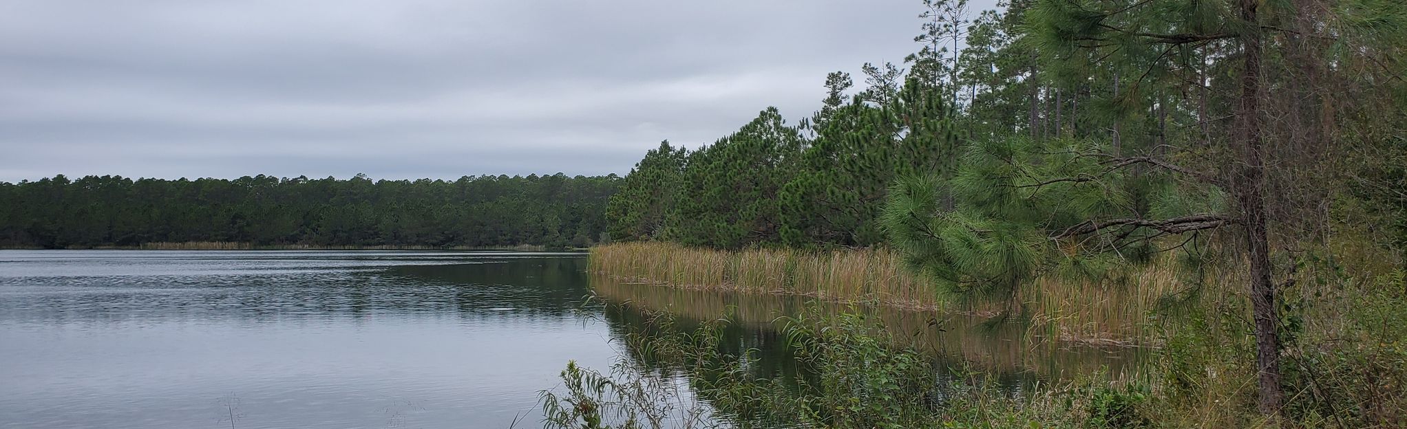 Cecil Field Recreational Trail, Florida - 284 Reviews, Map | AllTrails