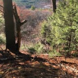 Tully Trail, Massachusetts - 130 Reviews, Map | AllTrails