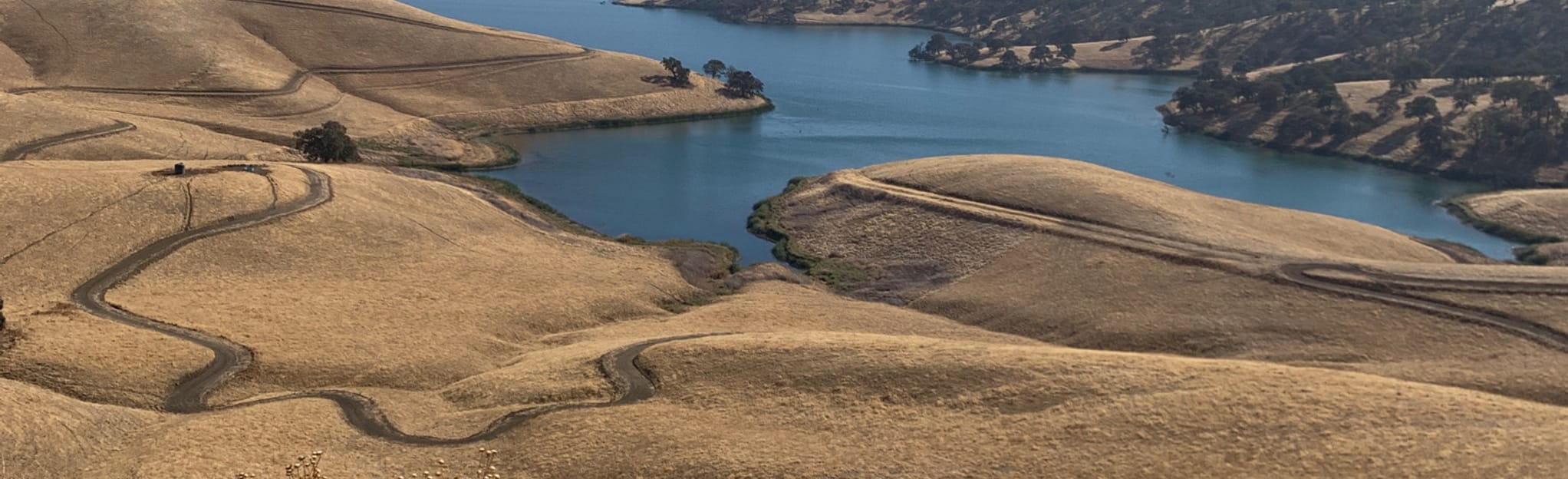 Los Vaqueros Trail, California - 13 Reviews, Map | AllTrails