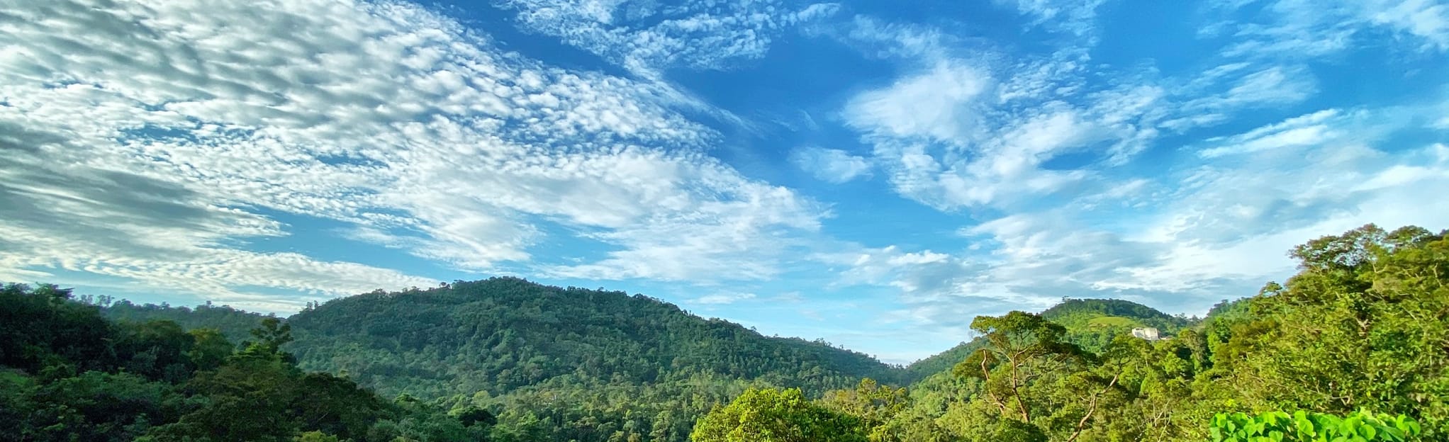 Sungai Ara - Fig Tree Hill Loop: 8 Reviews, Map - Penang, Malaysia ...