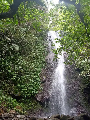 10 Best Trails and Hikes in Purwakarta | AllTrails