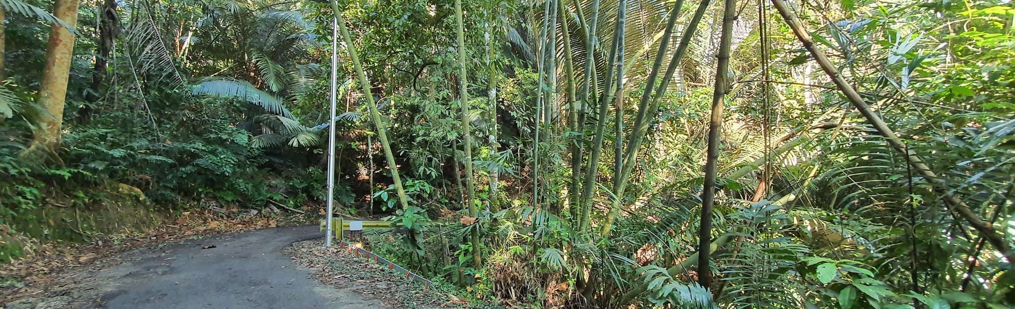 Bukit Lagong Pipeline-Trail: 11 Fotos - Kuala Lumpur, Malaysia ...