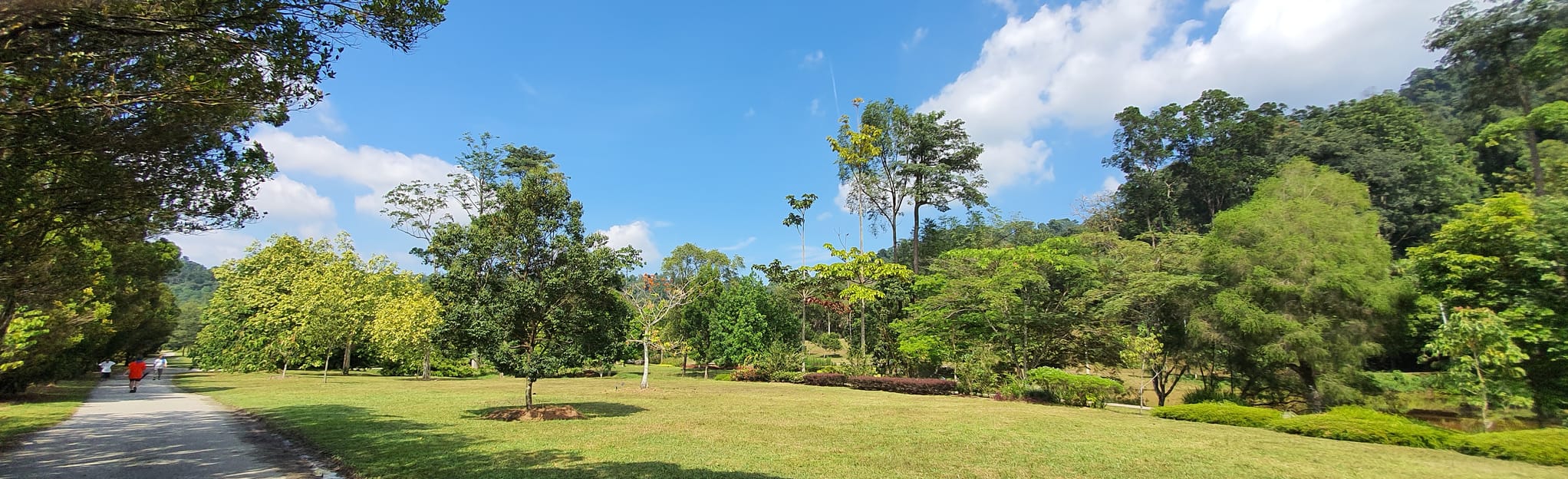 Gelung Lanjutan Taman Botani Kepong - Kuala Lumpur, Malaysia | AllTrails