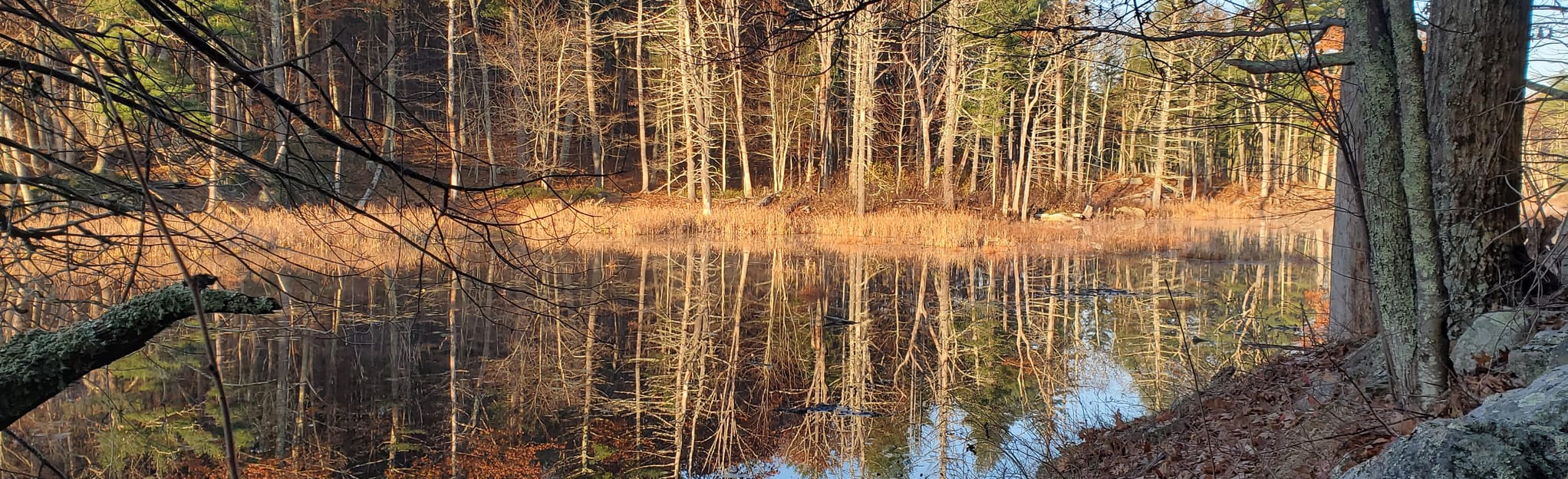 Windham Rail Trail, New Hampshire - 706 Reviews, Map | AllTrails