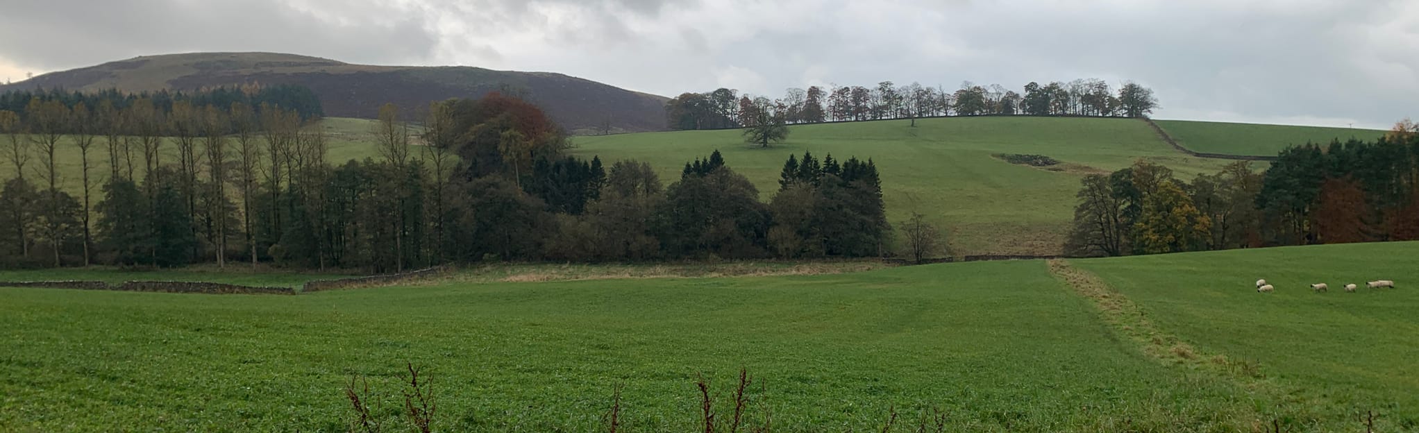 Hetton to Flasby to Sharp Haw Loop: 23 Reviews, Map - North Yorkshire ...