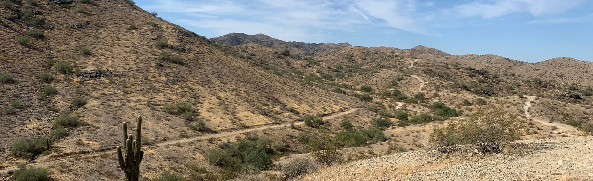 Pima East Loop, Arizona - 1,251 Reviews, Map | AllTrails