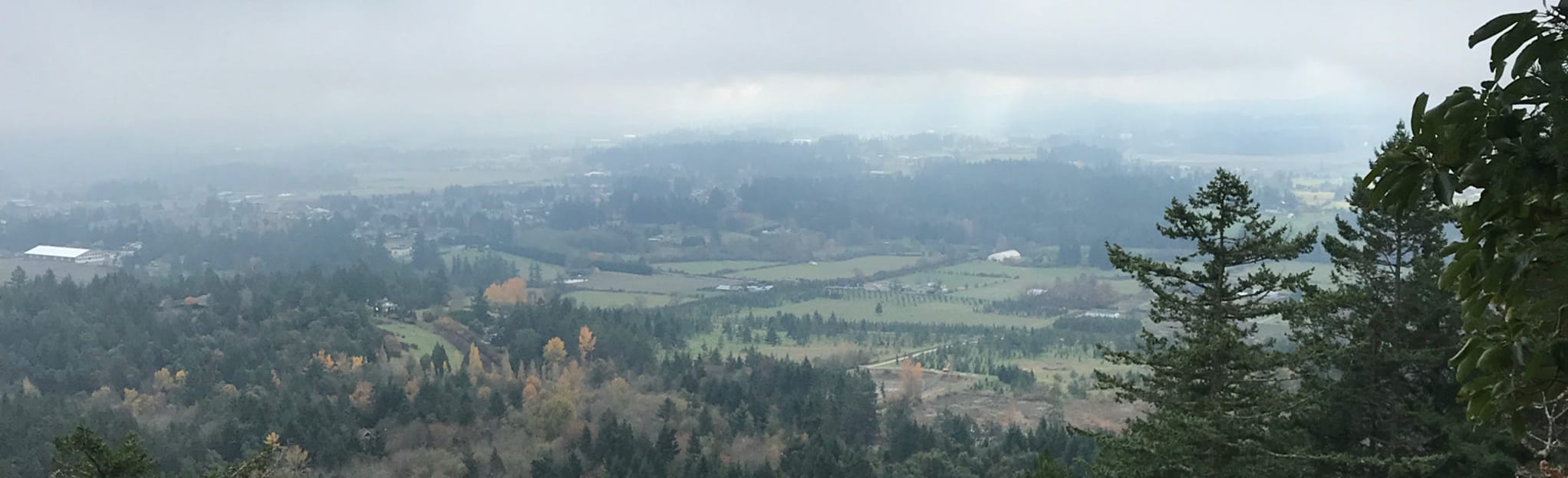 Woodward and Illahie Trail Loop to Mount Newman and Pickles' Bluff ...