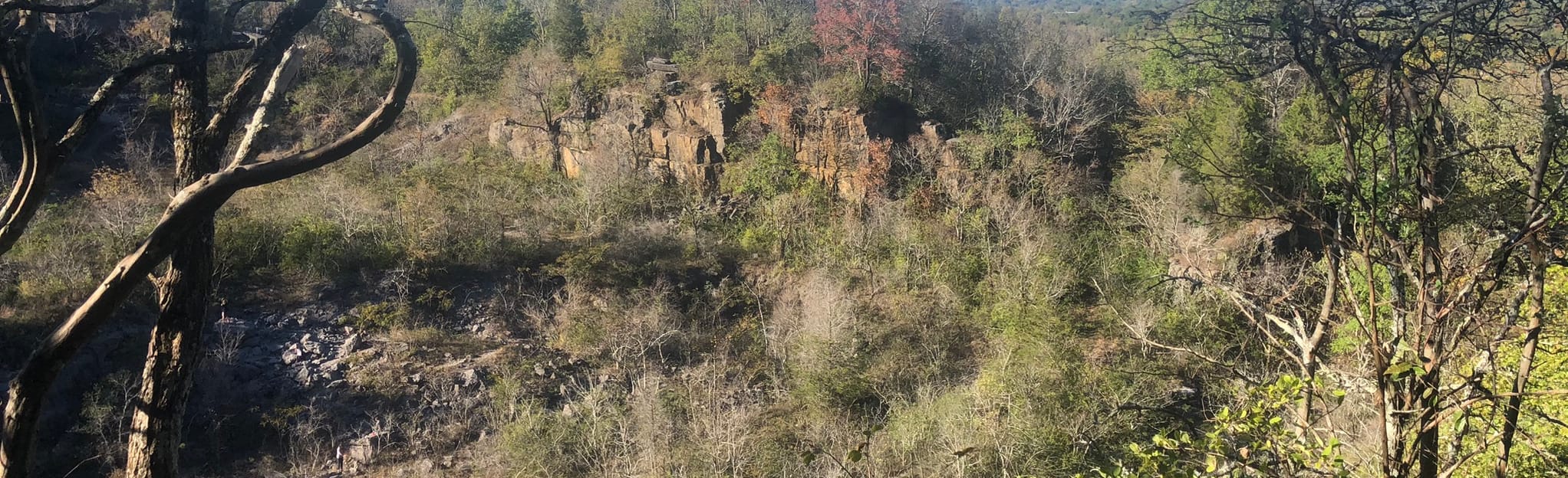 Ridge and Valley Trail to Possum Loop Trail | Map, Guide - Alabama ...