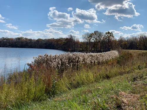 Best Hikes and Trails in Mercer County Park | AllTrails