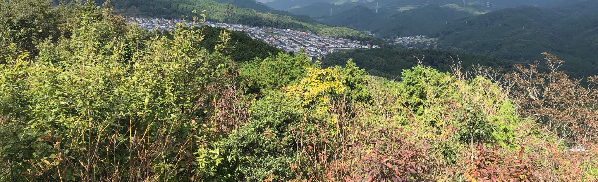 Mount Tonosu - Mount Tenran: 24 Reviews, Map - Saitama, Japan | AllTrails