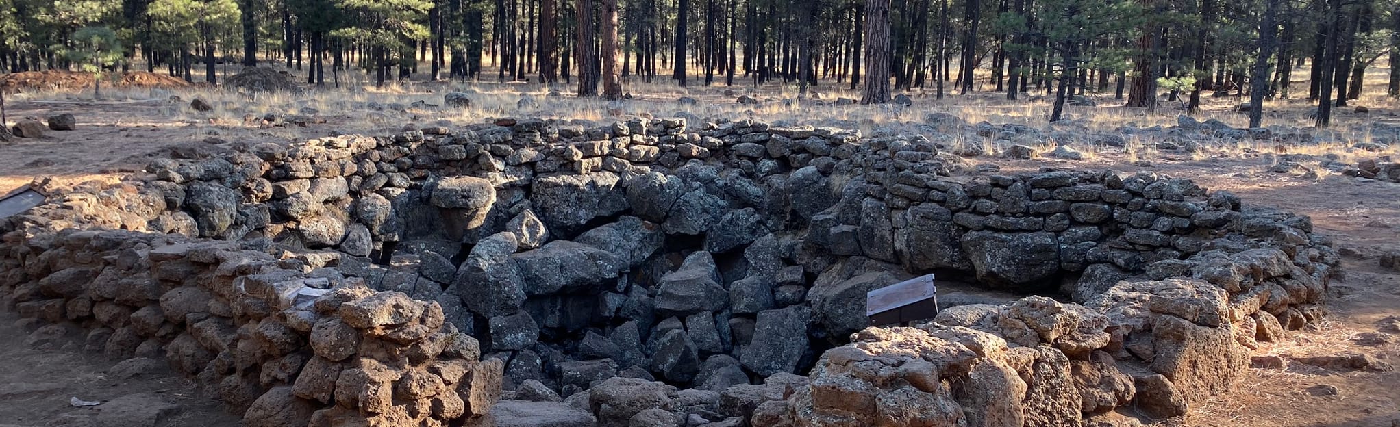 Lava River Cave, Arizona - 722 Reviews, Map | AllTrails