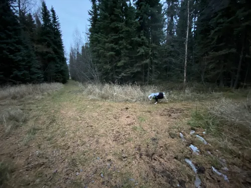 Best Hikes and Trails in Onoway | AllTrails