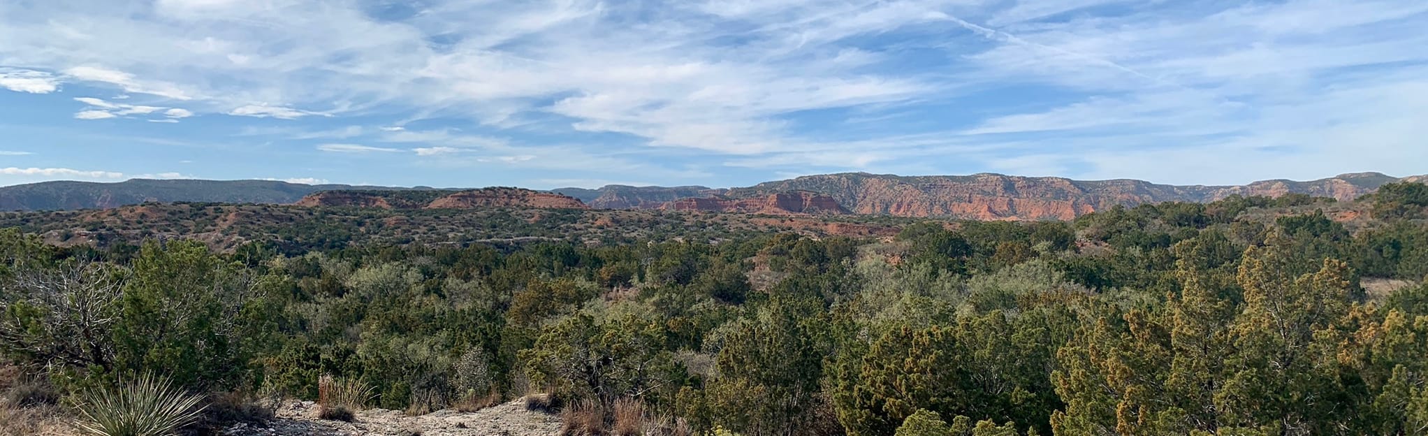 Wild Horse Trail to Mesa Spur Trail: 76 Reviews, Map - Texas | AllTrails
