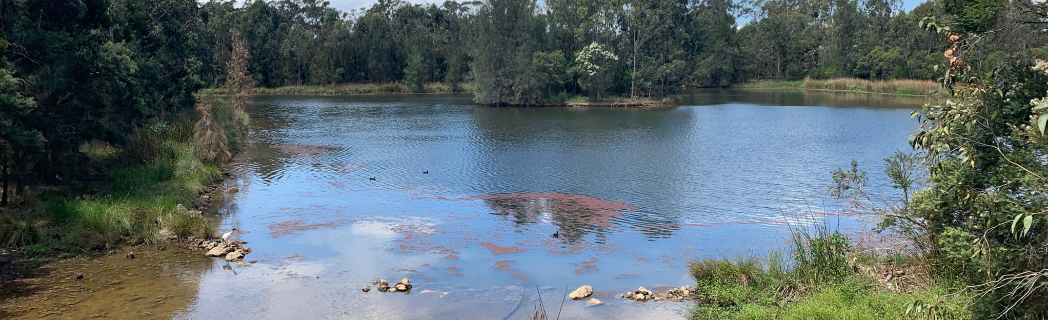 Cranebrook Lake Walk, New South Wales, Australia - 38 Reviews, Map ...