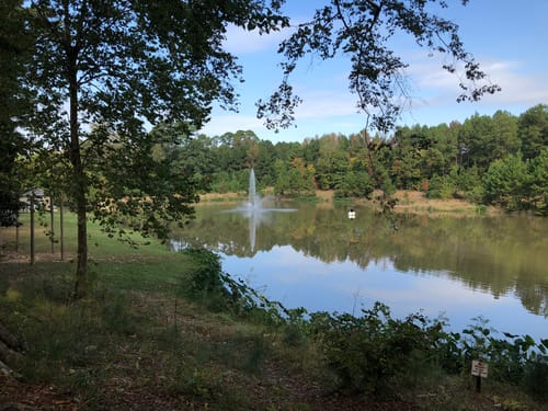 Best Hikes and Trails in Garland Gregory Hideaway Park | AllTrails