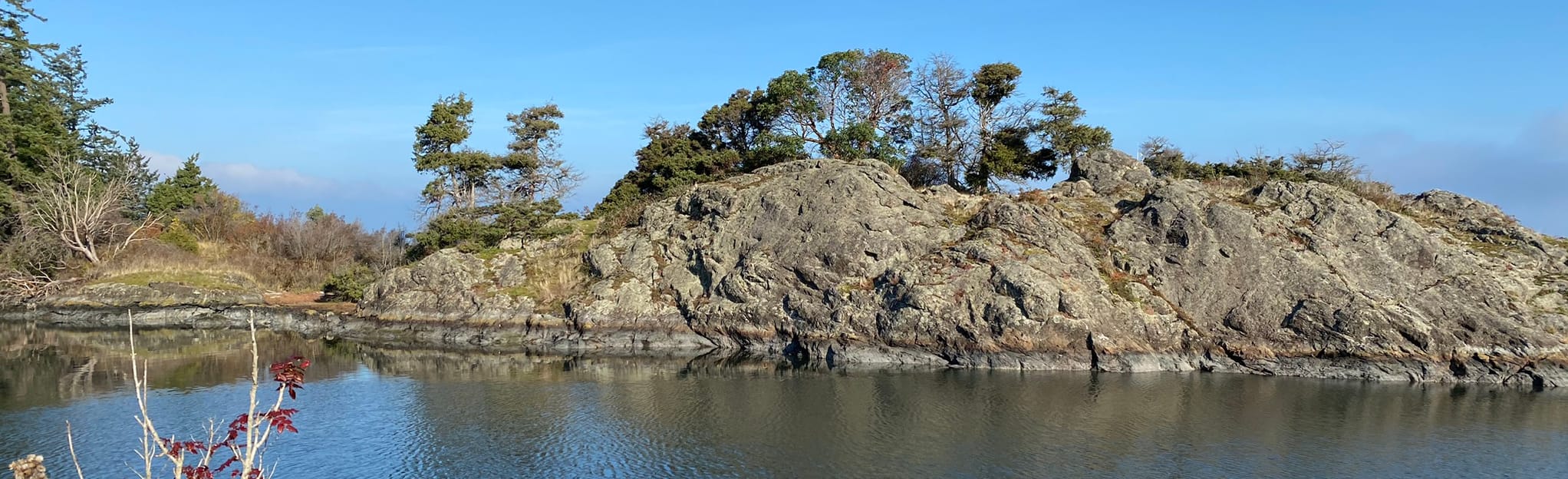 Tommy Thompson Trail: 314 Reviews, Map - Washington | AllTrails