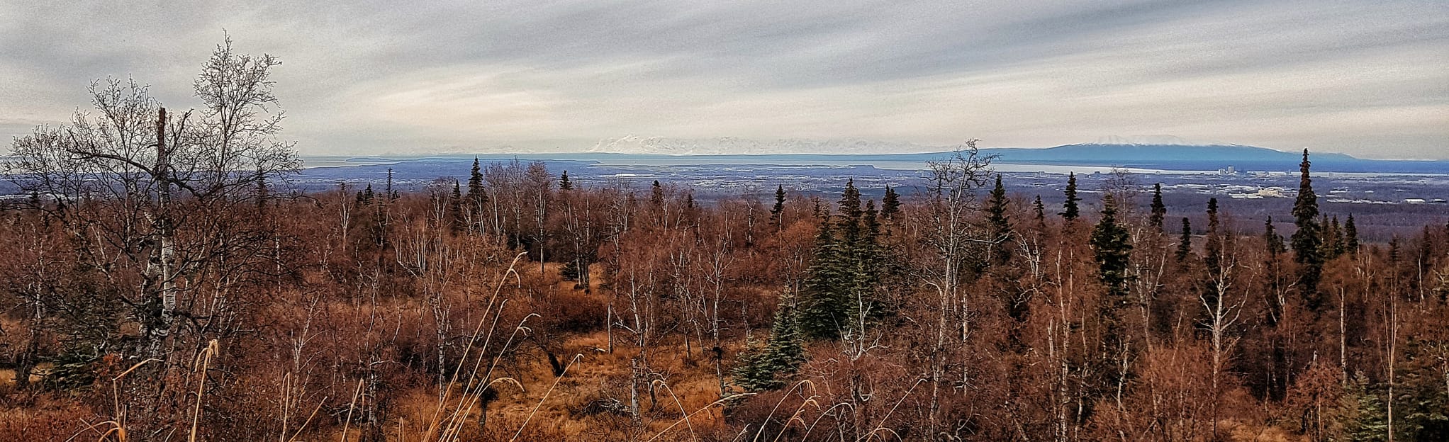 Basher and Wolverine Loop, Alaska - 215 Reviews, Map | AllTrails