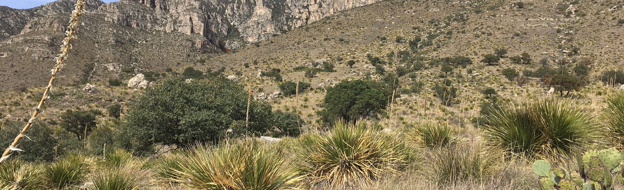 Tejas Trail, McKittrick Canyon Trail, and Dog Canyon Trail: 61 Reviews ...