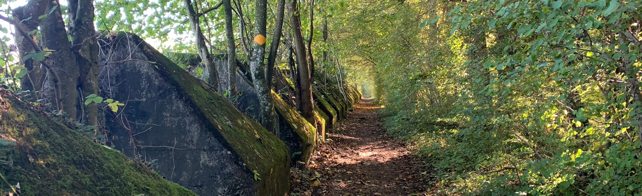 Toblerone Trail: Bassins - Gland - Nyon: 38 Reviews, Map - Vaud ...