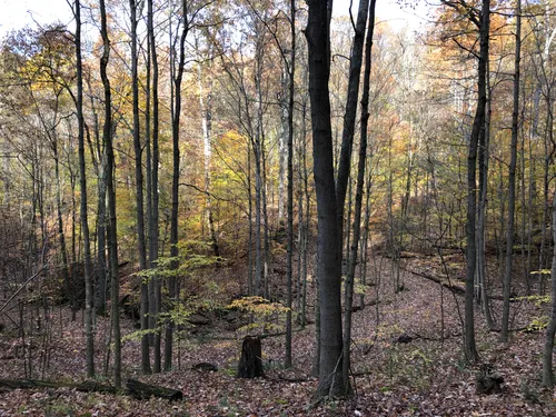 Best Hikes and Trails in French Lick | AllTrails