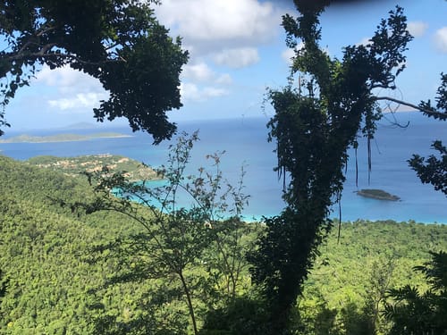Best 10 Hikes and Trails in Virgin Islands National Park | AllTrails
