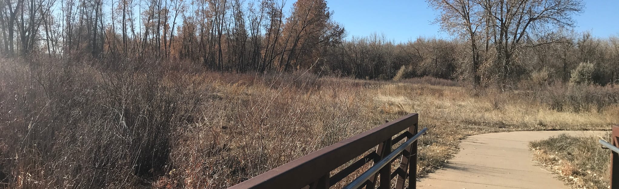 Wetland and Cherry Creek Trail Loop: 583 foto - Colorado | AllTrails