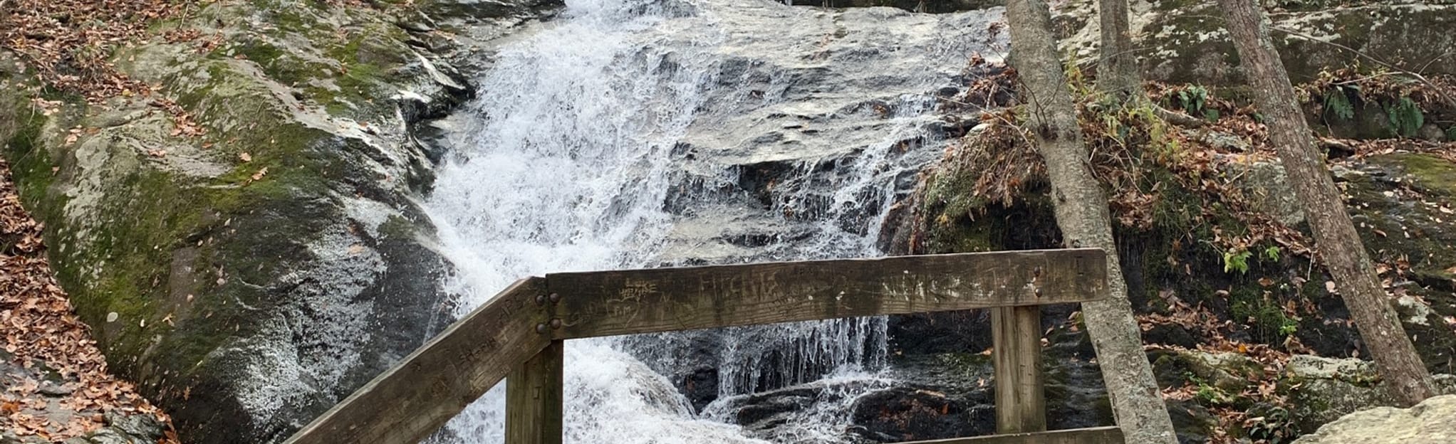 Crabtree Falls First Overlook, Virginia - 70 Reviews, Map | AllTrails