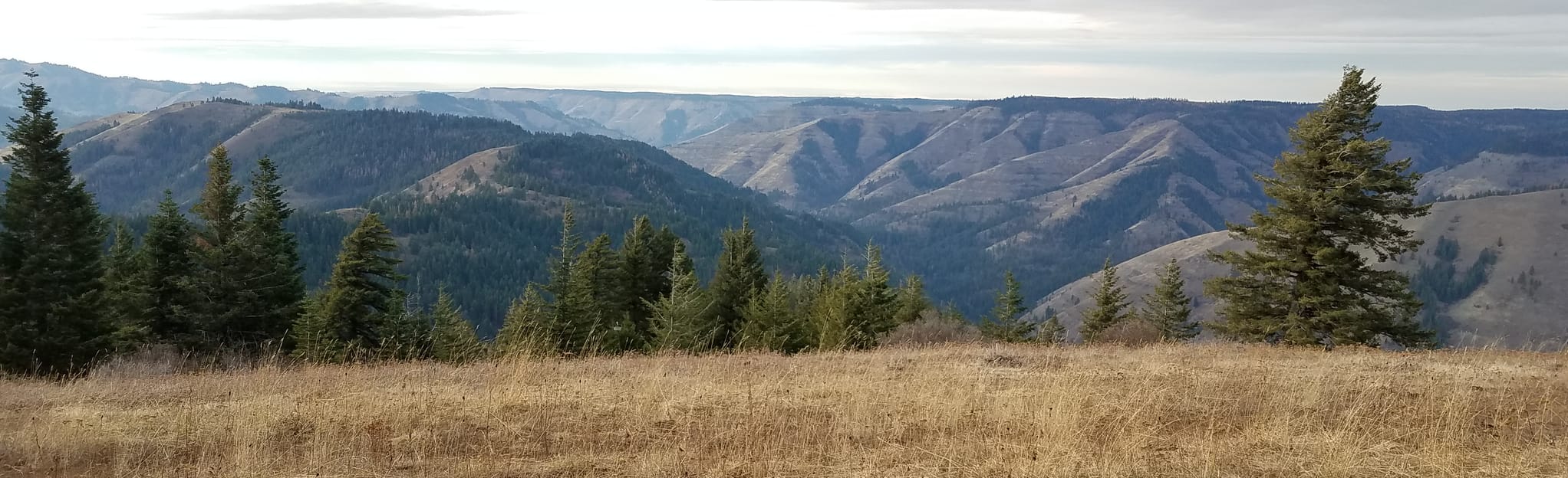 Umatila Rim Trail, Oregon - 38 Reviews, Map | AllTrails