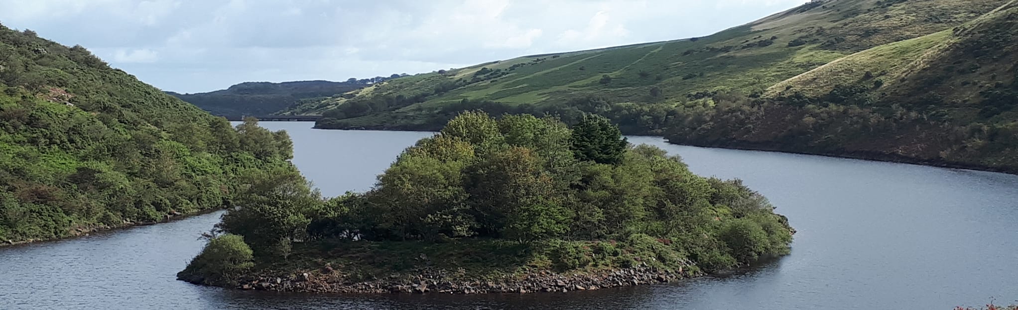 Okehampton, High Willhays, Hangingstone Hill, and Sticklepath Circular ...