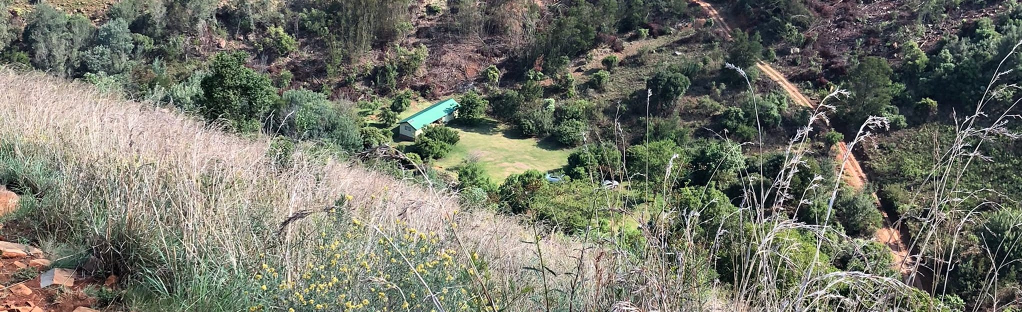 Lynx Loop: 34 Reviews, Map - Mpumalanga, South Africa | AllTrails