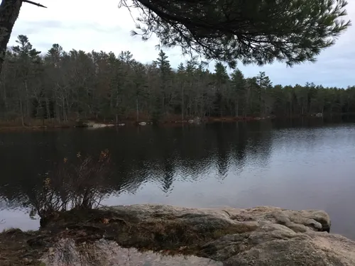 Best Forest Trails in Arrowsic | AllTrails