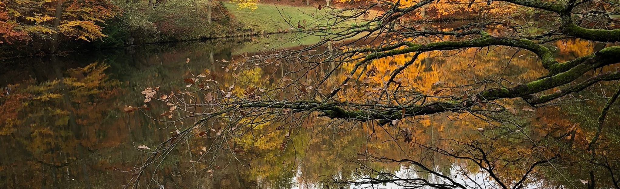 Über den Herkules und durch die Parks - Hesse, Germany | AllTrails