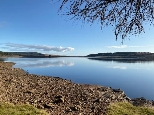 10 Best Walking Trails in Kielder Forest | AllTrails