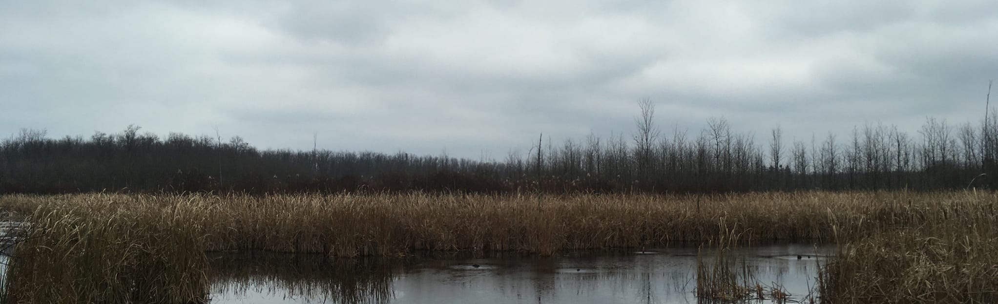 Frank Tract Eastern Entrance, Ontario, Canada - 53 Reviews, Map | AllTrails