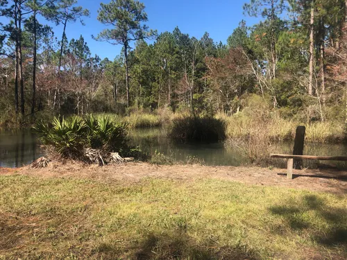 Best Hikes and Trails in Foley | AllTrails