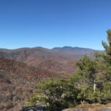Little Lost Cove Cliffs, North Carolina - 132 Reviews, Map | AllTrails