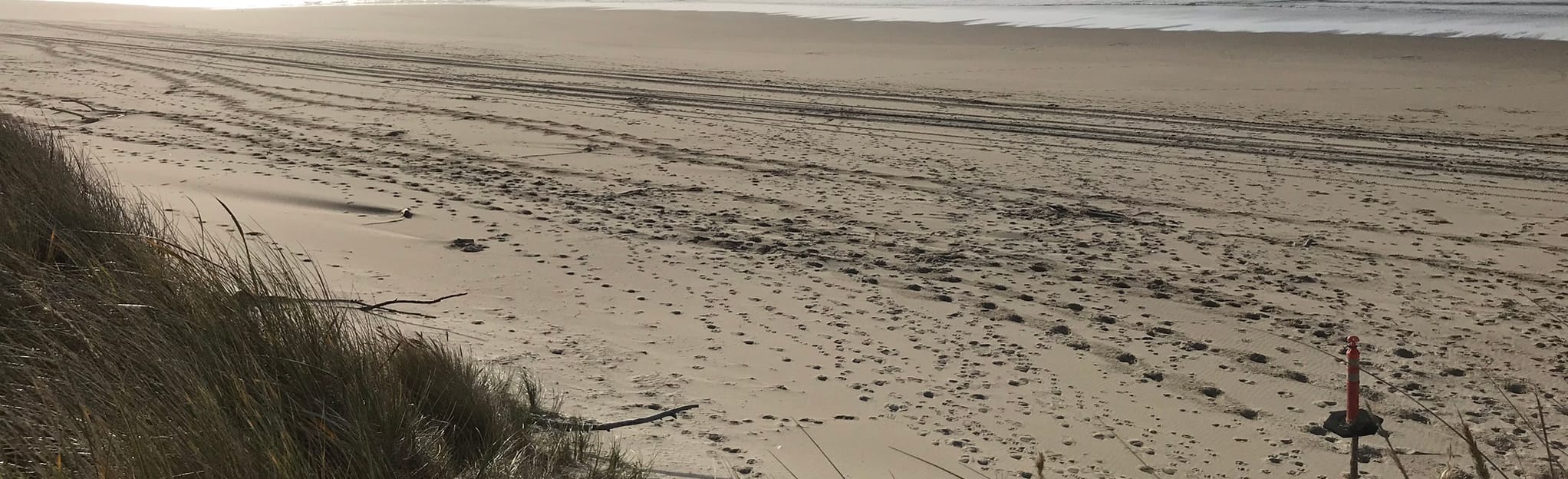 North Spit Trail, Oregon - 31 Reviews, Map | AllTrails