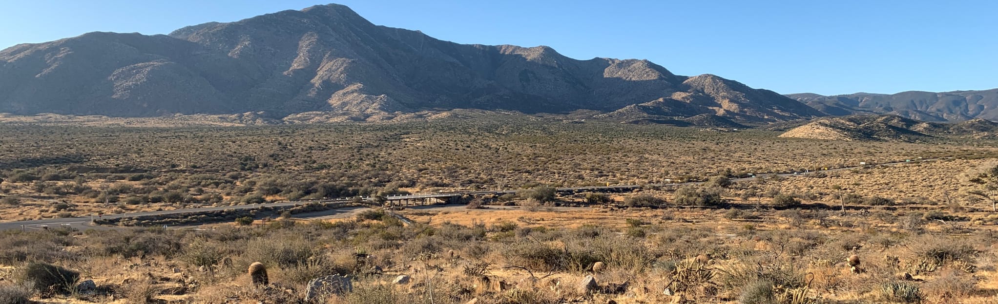 Grapevine Mountain via PCT - California | AllTrails