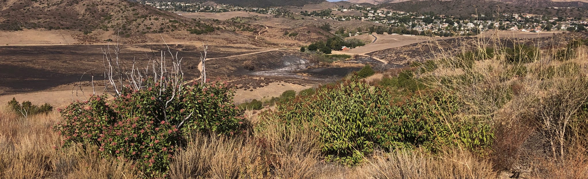 Satwiwa, Old Boney, Upper Sycamore, and Big Sycamore Canyon Loop: 2.496 ...
