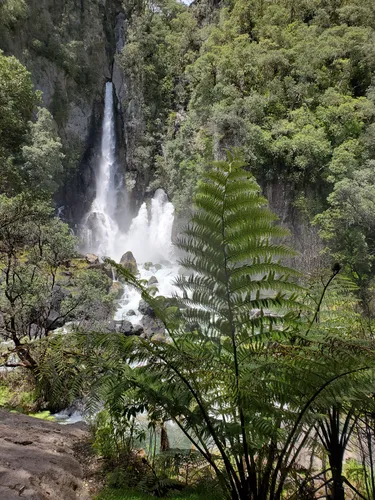 Best Waterfall Trails in Rotorua | AllTrails