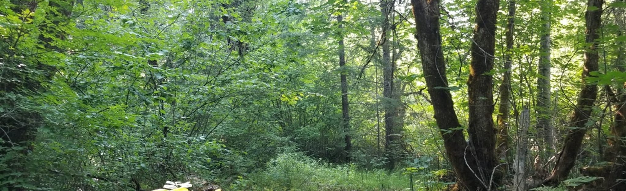 Day Ranch Spur and East Weaver Creek Loop: 21 Reviews, Map - California ...