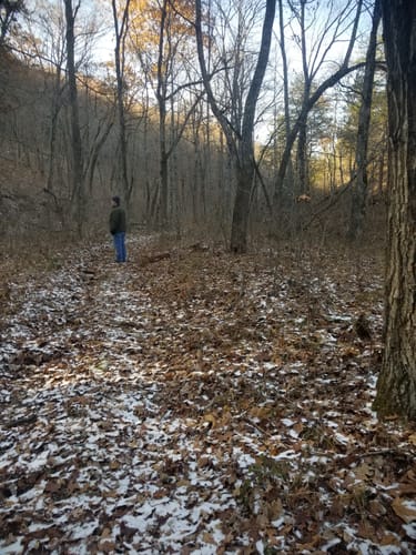 Best Hikes and Trails in Caney Mountain Conservation Area | AllTrails