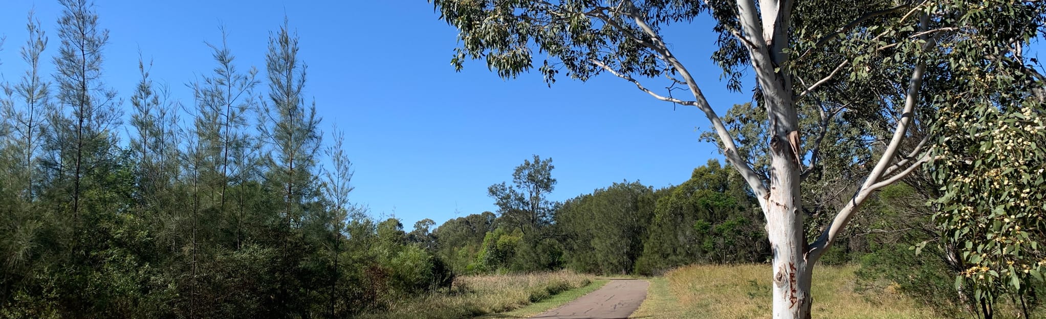 The Great West Walk: Blacktown to Rooty Hill, New South Wales ...