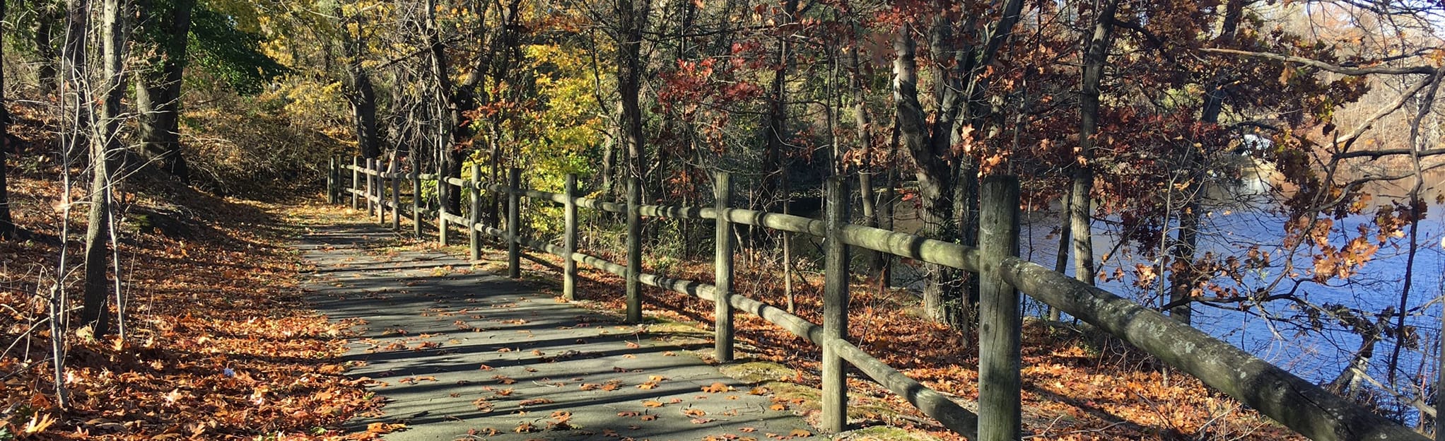 Tongue Pond Loop: 32 Reviews, Map - Rhode Island | AllTrails