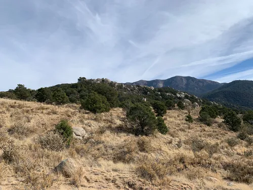 10 Best Hikes and Trails in Sandia Foothills Open Space Park | AllTrails